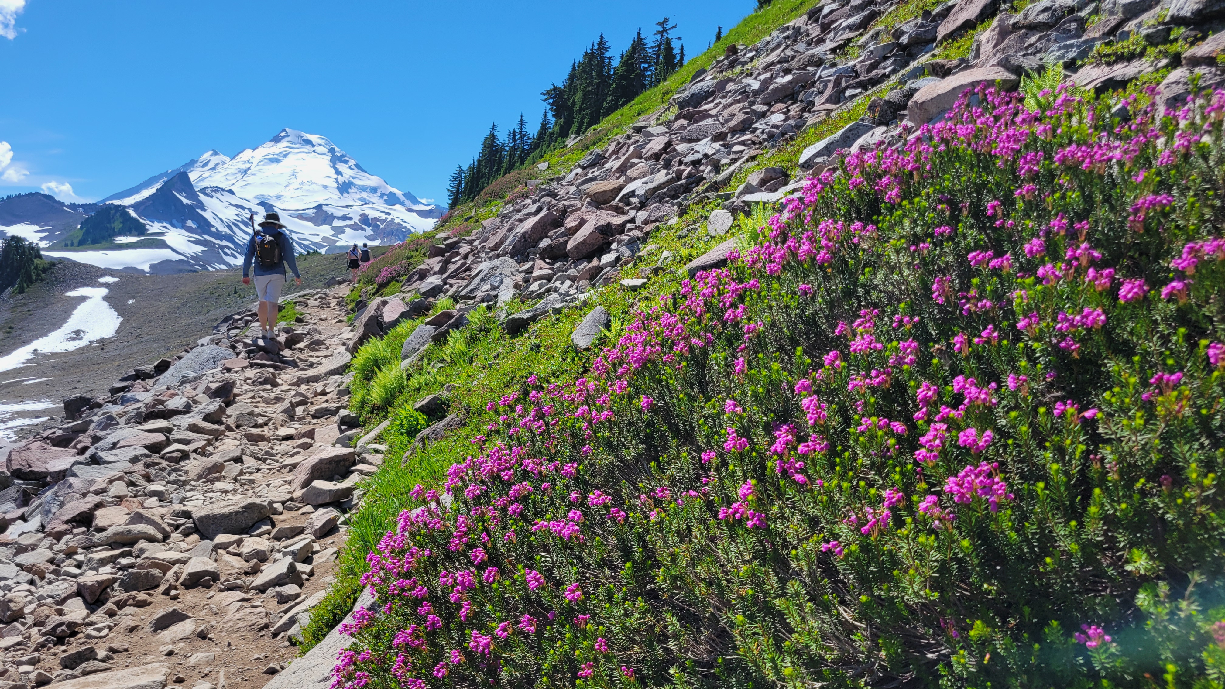 Chain Lakes Loop: A Summer-First Experience Brief – Dangenda
